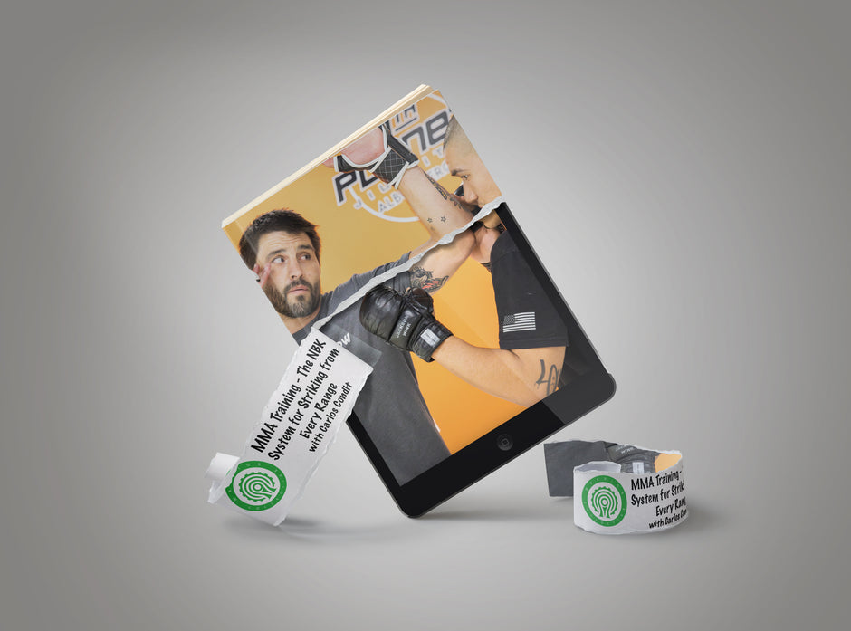 Online Martial Arts Training Videos | Warrior Collective