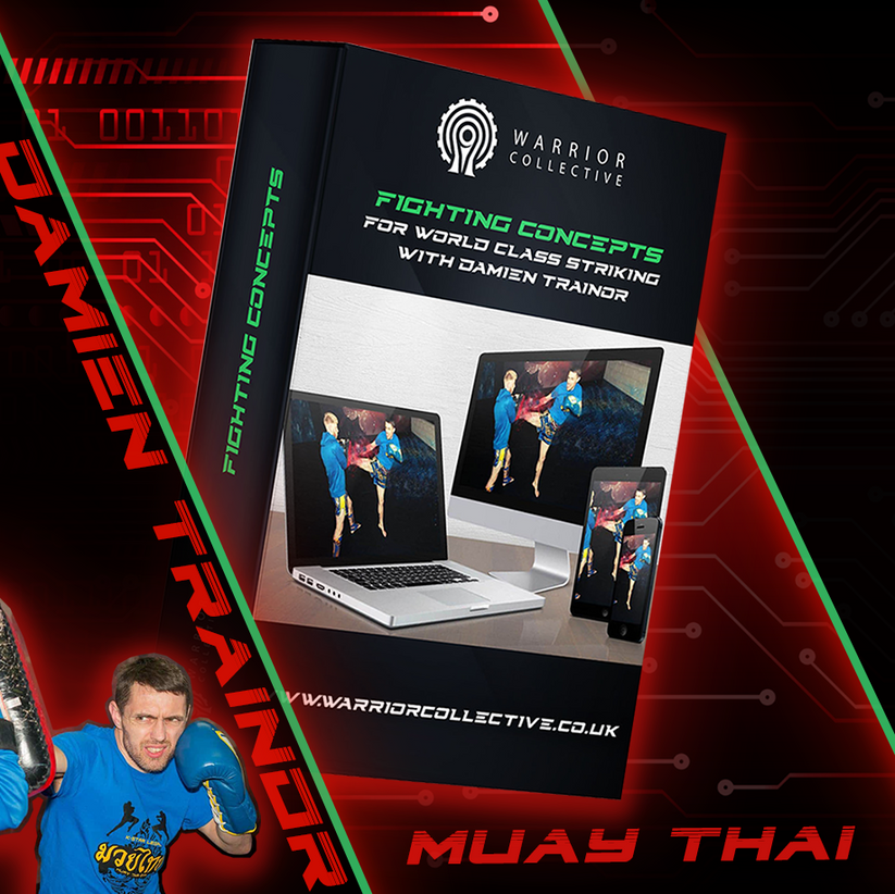 Fighting Concepts for World Class Striking with Damien Trainor - Online ...