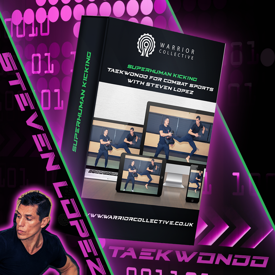 Online Martial Arts Training Videos | Warrior Collective